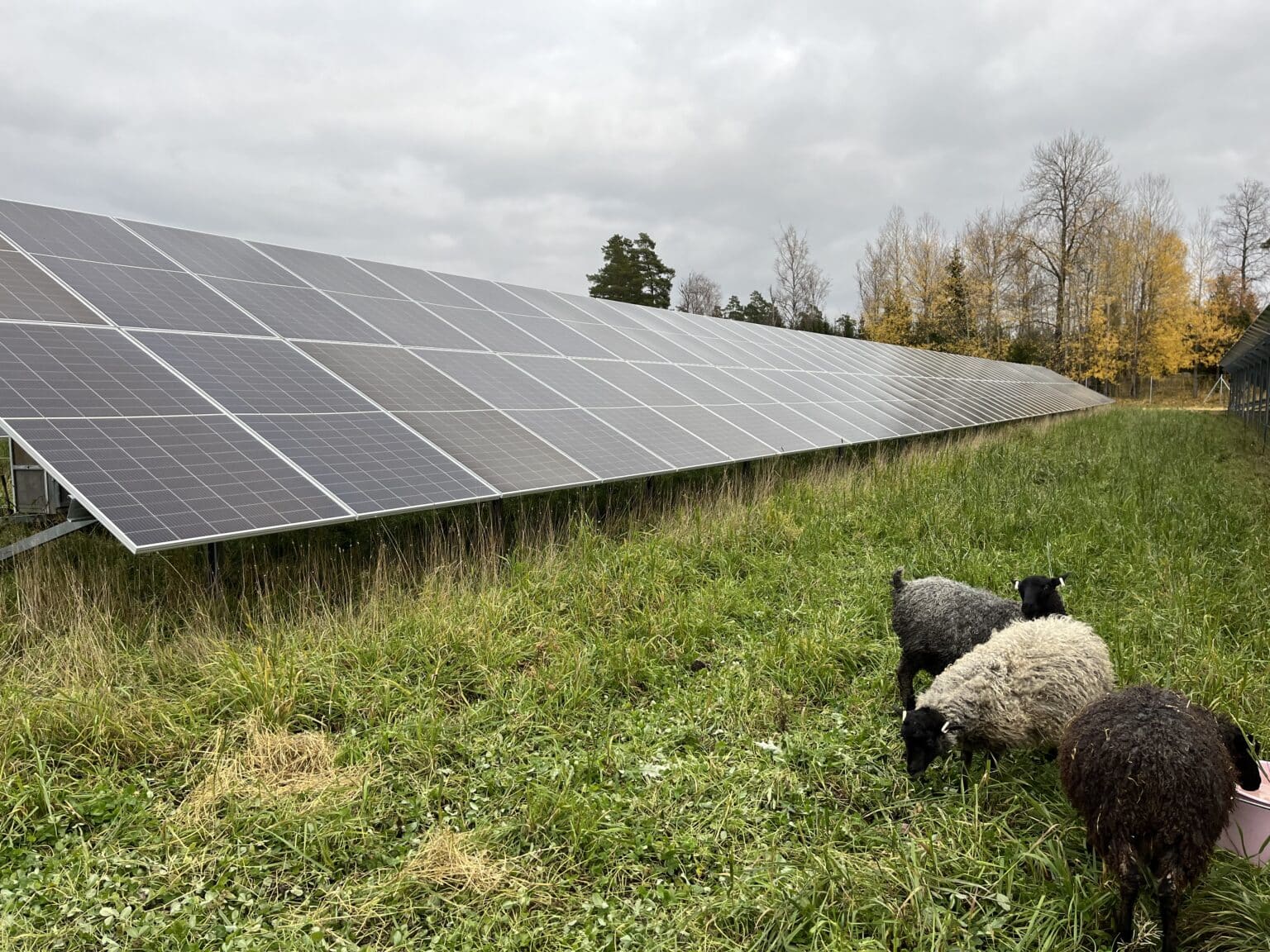 Boka din plats till Green Power Sweden Summit 2025 – biljetterna är nu ...